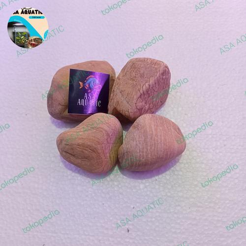 Jual Batu Fosil Kayu Taman Aquascape Aquarium - Kota Surabaya - ASA ...