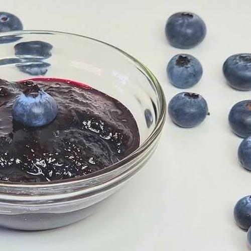 Jual GARANSI MURAH 500gr Frozen Blueberry Puree Buah Beku Pure Asli ...
