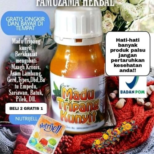 Jual Madu Tripang Kunyit Obat Maag Kronis Jakarta Selatan Famuzama