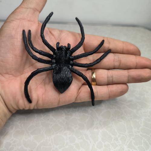 Jual mainan laba laba hitam besar 10cm Halloween - Jakarta Barat ...