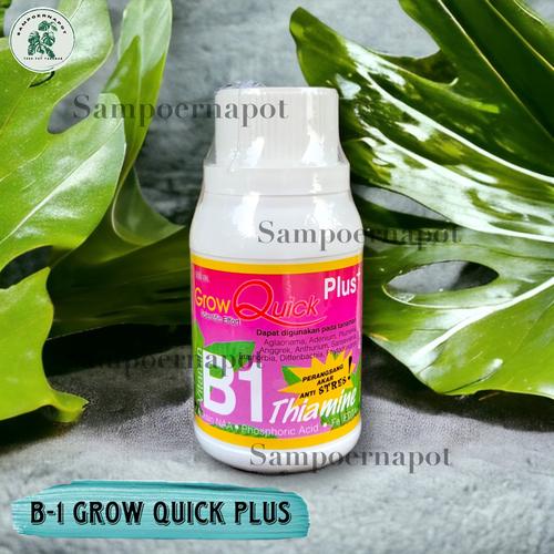 Jual GROW QUICK VITAMIN B1 PLUS 100 ML PUPUK HORMON AKAR KEMASAN PABRIK - Kota Tangerang ...