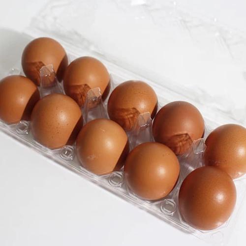 Jual TELUR AYAM NEGERI PER PACK - Jakarta Barat - kios buah segar ...