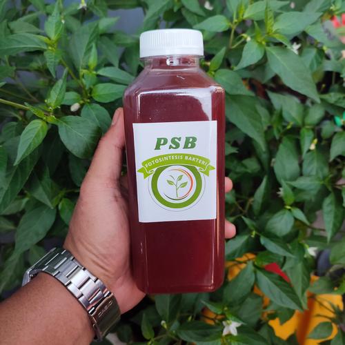 Jual PSB/POTOSINTESIS BAKTERI PUPUK CAIR BOSTER KEMASAN 500 ML ...