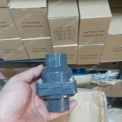 Jual Swing Check PVC Socket 1" Inch / Klep Tabok Socked Pvc - Jakarta ...