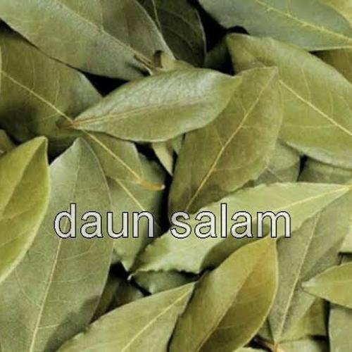 Jual bay leaves daun salam 1kg/daun salam kering - Jakarta Timur - Bumburasa | Tokopedia