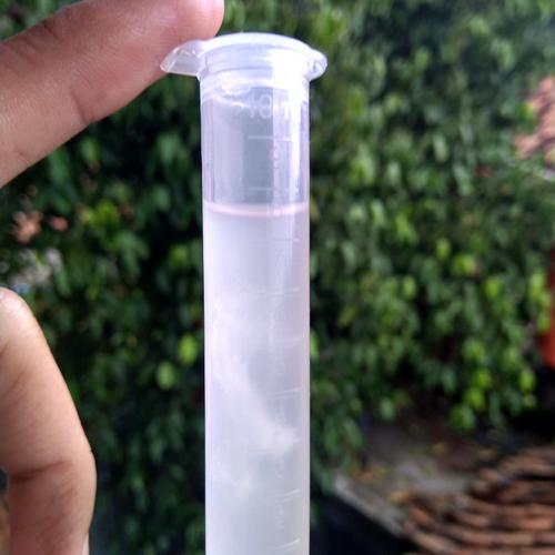 Jual STARTER BIBIT NATA DE COCO ACETOBACTER XYLINUM SEKALI PAKAI, min ...