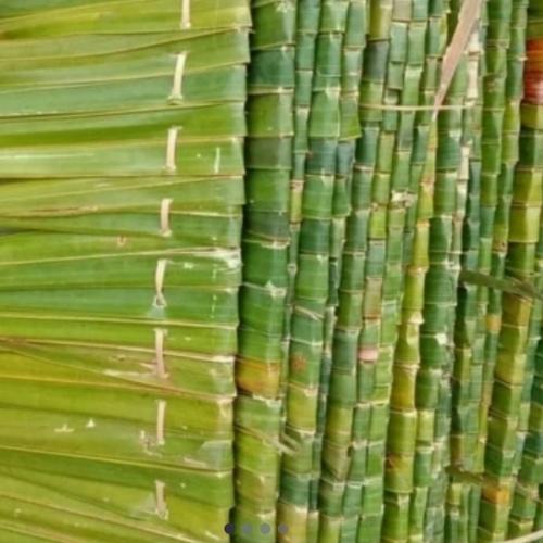 Jual atap dahon/atap daun rumbia/atap tradisional 1 pcs - Kab ...