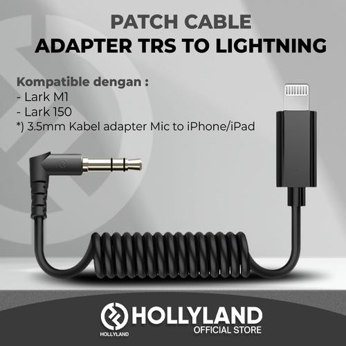 Jual Hollyland Mic Adapter 3.5mm TRS to TRRS/ Lightning iOS/ TypeC ...