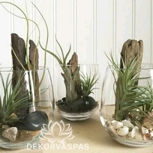Jual VAS KACA POT TERARIUM/POT KACA TANAMAN AIR HIDROPONIK / TUSKANI ...