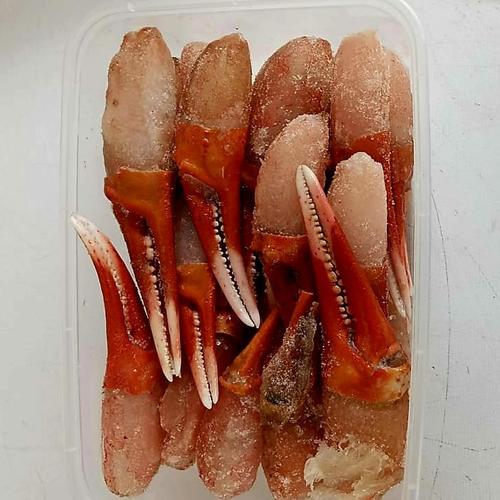 Jual capit kepiting kupas crab - Kab. Sidoarjo - Raja Laut Seafood ...