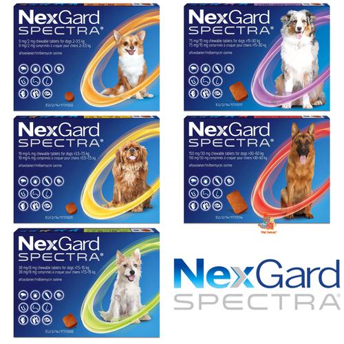 Jual Obat Kutu & Cacing Complete NEXGARD - Harga Per Tablet - 3,51 - 7 ...
