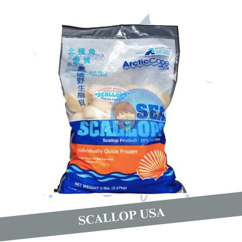 Jual SCALLOP USA / SCALOP / MUKIMI US/ 2.27kg/ KERANG KAMPAK / KERANG ...