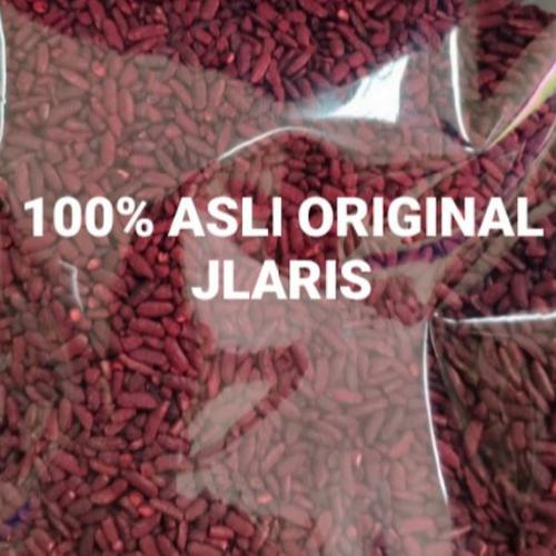 Jual Angkak Premium 100 gram / Angkak Merah / Hong Mi - Untuk DBD ...