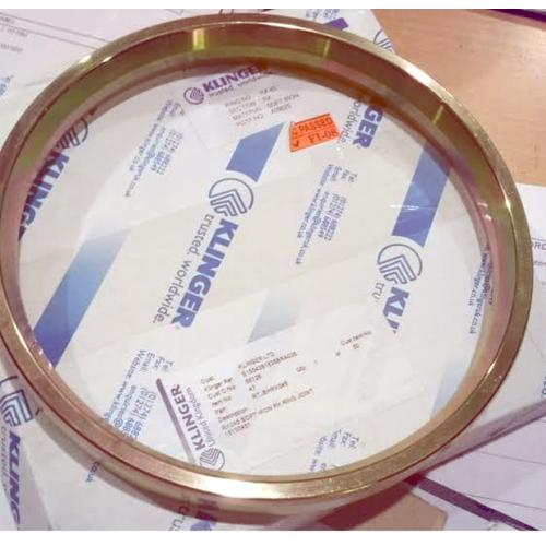 Jual Ring joint Gasket RTJ Octagonal Class 1500 R16 Soft iron Klinger ...