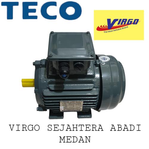 Jual TECO 1 HP 0.75KW DINAMO ELEKTRO MOTOR 3 PHASE 220 VOLT 2 POLE 2800 RPM - Kota Medan - VIRGO ...