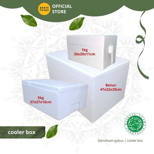 Jual Box Stereofoam Gabus Styrofoam Busa Sterofoam Kotak Es Besar Tebal ...
