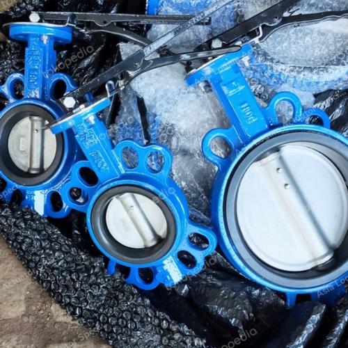 Jual butterfly valve 5" inch cast iron disc stainless - Jakarta Barat ...