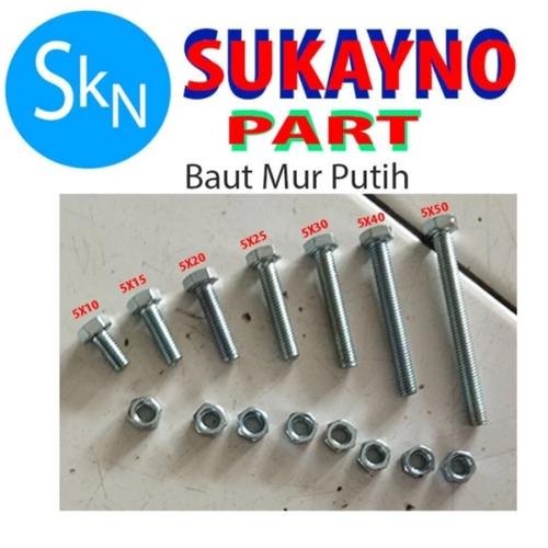 Jual Baut+Mur+ring plat galvanis, bmp M5x10 kunci 8 (promo) - Kab ...