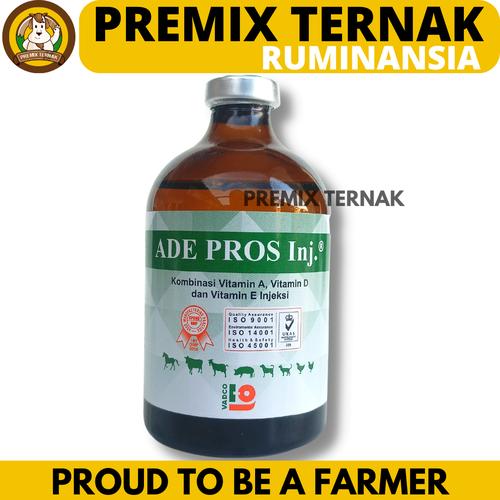 Jual ADE PROS INJ 100ML Vitamin ADE Daya Tahan Tubuh & Produktivitas ...
