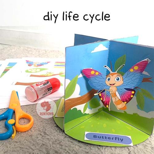 Jual shukaku DIY Life Cycle | Belajar Siklus Hidup Hewan | Art and ...