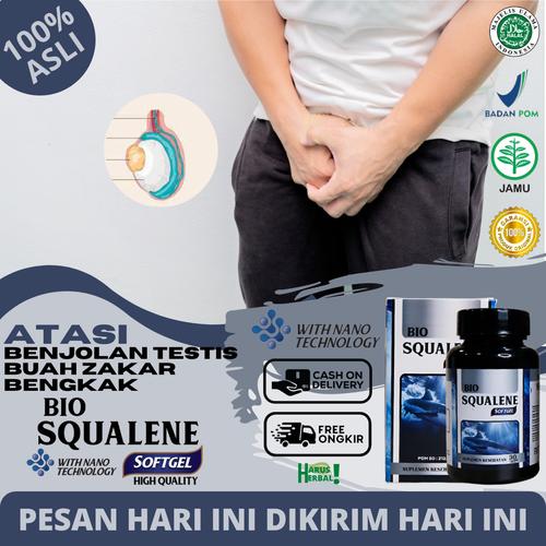 Jual Obat Benjolan Testis, Radang Testis, Buah Zakar Bengkak - Bio ...