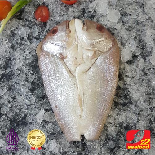 Jual Ikan Kurisi Fillet Butterfly Cut / Ikan Angkoli Butterfly ...