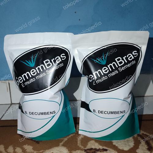 Jual Benih Rumput Signal Grass - Bibit Rumput Brachiaria Decumbens Pack ...