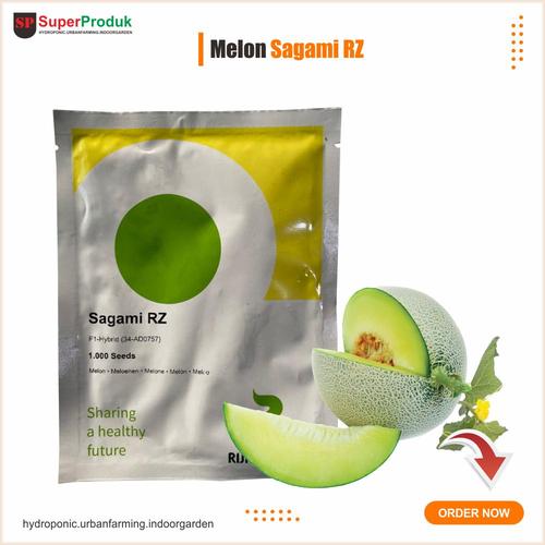 Jual Benih melon sagami rz kemasan 1000 seed - Kota Bogor - Superproduk ...