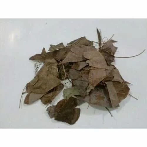Jual 600 GR GRAM SAN YIN YANG HUO YE EPIMEDIUM LEAF LEAVES HORNY GOAT ...