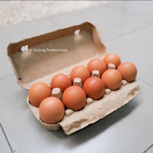 Jual FRESH EGGS! Telur Ayam Negeri 10 Butir Grade A Dari Peternakan ...