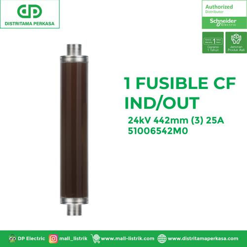 Promo Schneider Fuse In/Out Fusarc 24kV 442mm (3) 25A - 51006542M0 ...
