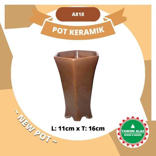 Jual Pot Bonsai Keramik Cascade Segi Enam Tinggi - Jakarta Pusat ...