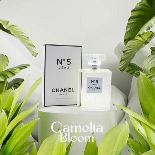 Jual Chanel Coco Mademoiselle EDP 100ml (Full Box + Sealed + Batch ...