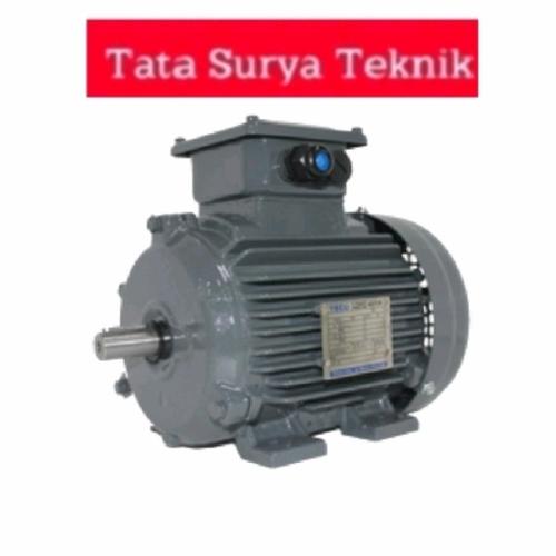 Jual Electric motor Teco 2P 4HP 3KW 3 Phase 380V B3 - Jakarta Utara - Tata Surya Teknik | Tokopedia