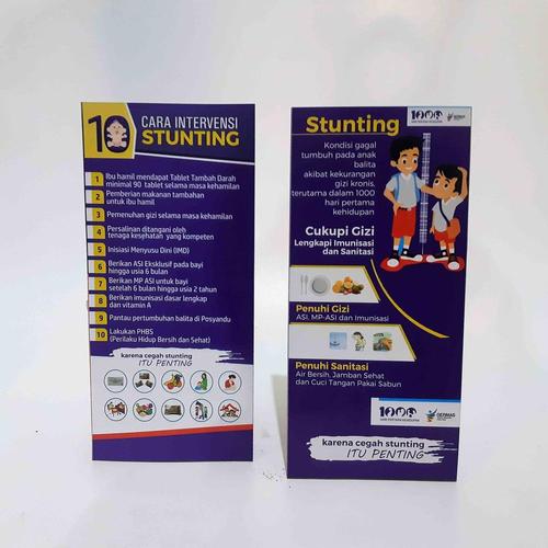 Jual Flyer Stunting, Paket Mini Brosur dengan tema Stunting - Paket Isi ...