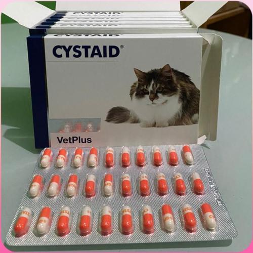 Jual Cystaid (1Box) Isi 30Tablet - Obat Saluran Kencing Buat Kucing ...