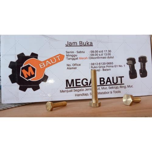 Jual Baut Kuningan M 12 x 30 Brass - Kota Batam - Mega Baut | Tokopedia