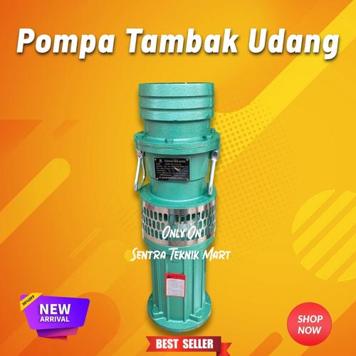 Jual Pompa celup Tambak Udang 8" 3Phase Submersible Pump pompa kolam ...