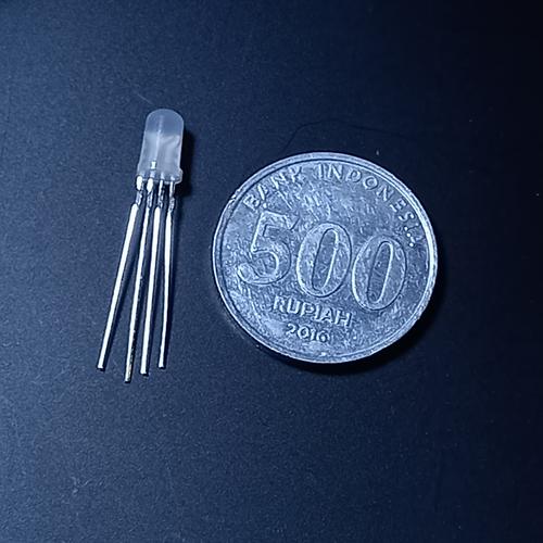 Jual Lampu LED 5mm 4pin RGB Case Difused Susu - Kota Tangerang ...