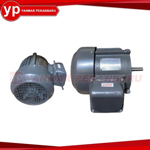 Jual Elektro Motor / Penggerak Listrik 3 HP RRT - 1 Phase, Putaran ...