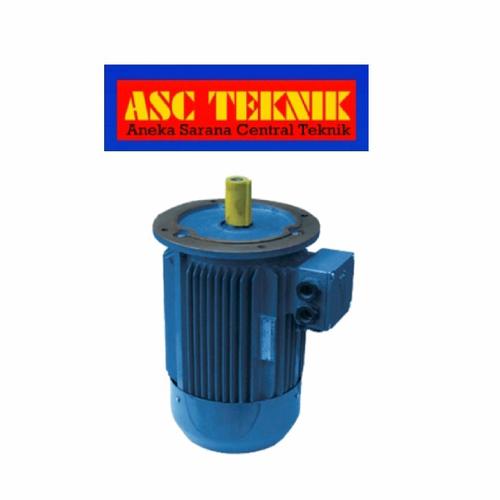 Jual Electric Motor YUEMA YU 4P 4KW 5,5HP 380V 3Phase Flange Mounted B5 ...