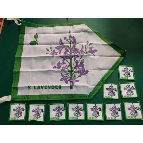 Jual Tanda regu pramuka bunga lavender bendera dan badge penggalang ...