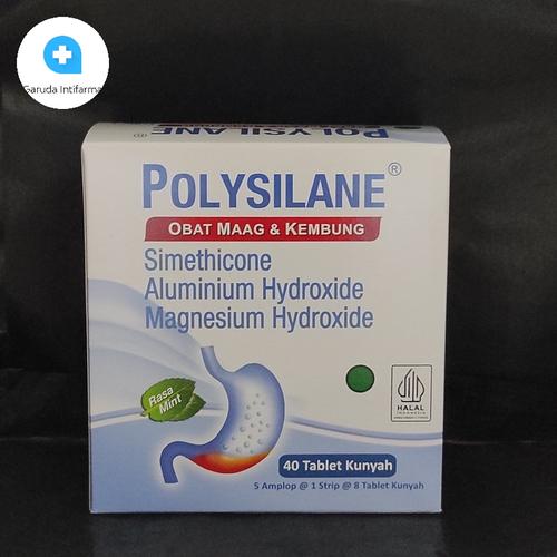 Jual Polysilane Tablet Kunyah 1 BOX 40 Tablet Obat Maag Lambung - Kota ...