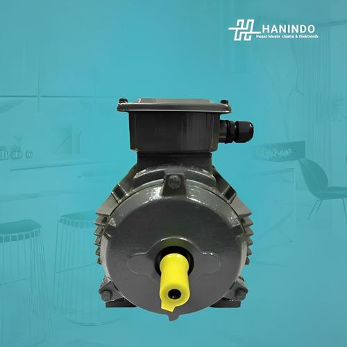 Jual Teco 3 HP 2.2 KW 3 Phase 2 Pole B3 Elektro Motor/Dinamo/Motor Induksi - Kota Surabaya ...