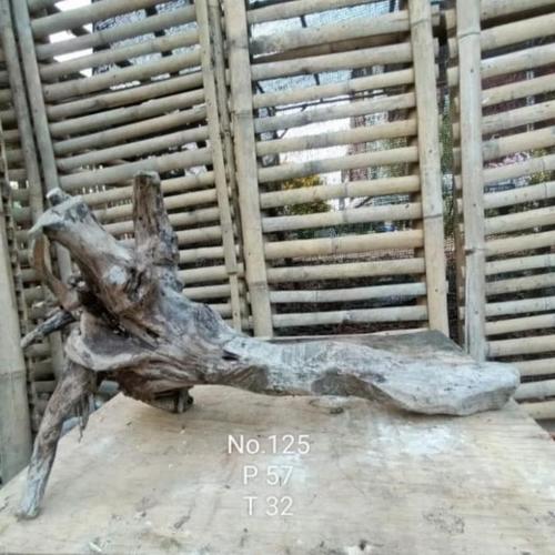 Jual Bongolan Akar Santigi Laut Kayu Santigi Laut Aquascape Aquarium ...