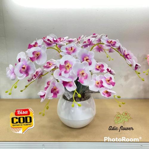 Jual BUNG ANGGREK BULAN BUNGA HIAS ARTIFICIAL PLASTIK+ POT BOLA VIENTA ...
