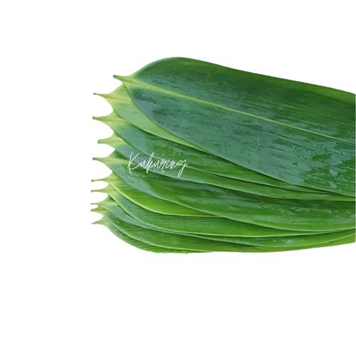 Jual Daun Bambu Segar Pilihan herbal dan bungkus bacang - Kicang - Kota ...