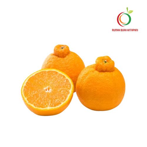 Promo Jeruk Dekopon/Jeruk Sumo/Jeruk Papagan per Kg - Kota Bandung ...