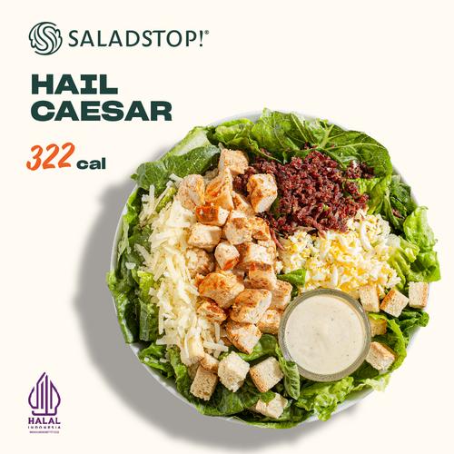 Jual SaladStop! Healthy Salad : Hail Caesar with Roasted Chicken - Salad Bowl - Jakarta Pusat ...