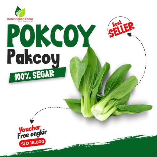 Jual Pokcay Pakcoy Pokcoy Segar 1kg – Sayur Hijau Sehat, Cocok untuk ...